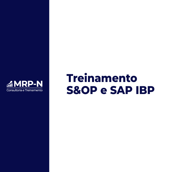 Treinamento S&OP e SAP IBP - Michel R P Nachbar | Hotmart
