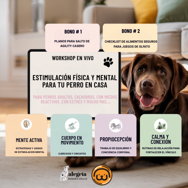 Bienestar Físico, Mental y Emocional para tu Perro desde Casa - Tat...
