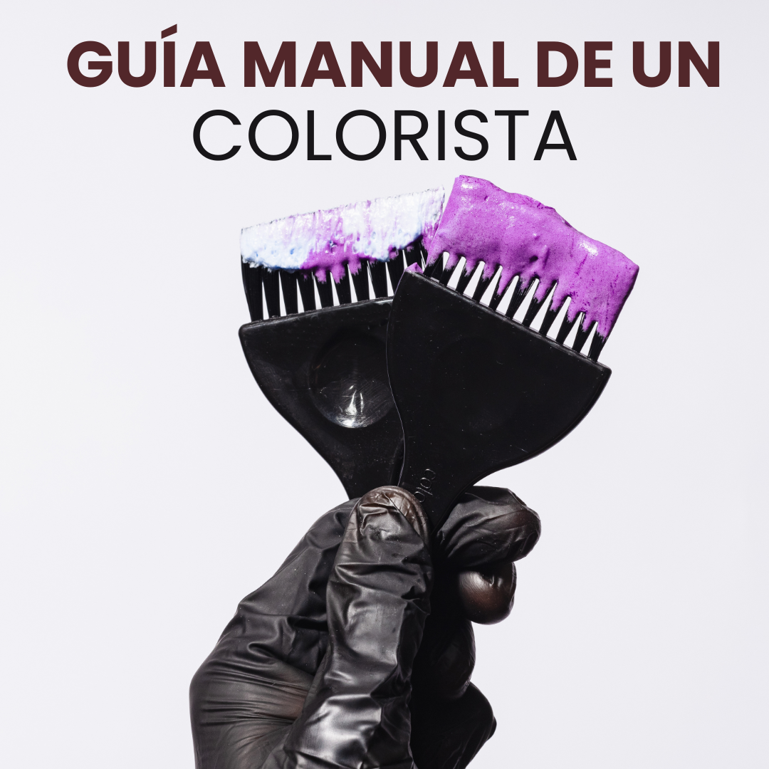 Guía completa Manual de un colorista - lisbeys ramirez cordero | H...