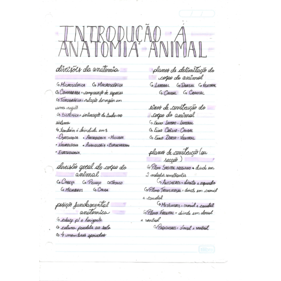 Resumos de Medicina Veterinária - Anatomia Animal (Anatomia Animal ...