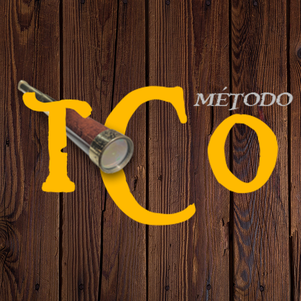 Workshop TCO