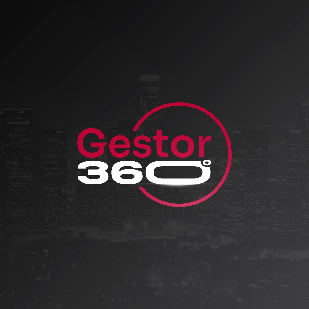 Gestor 360º - De Iniciante a Profissional: O Caminho para se Tornar...