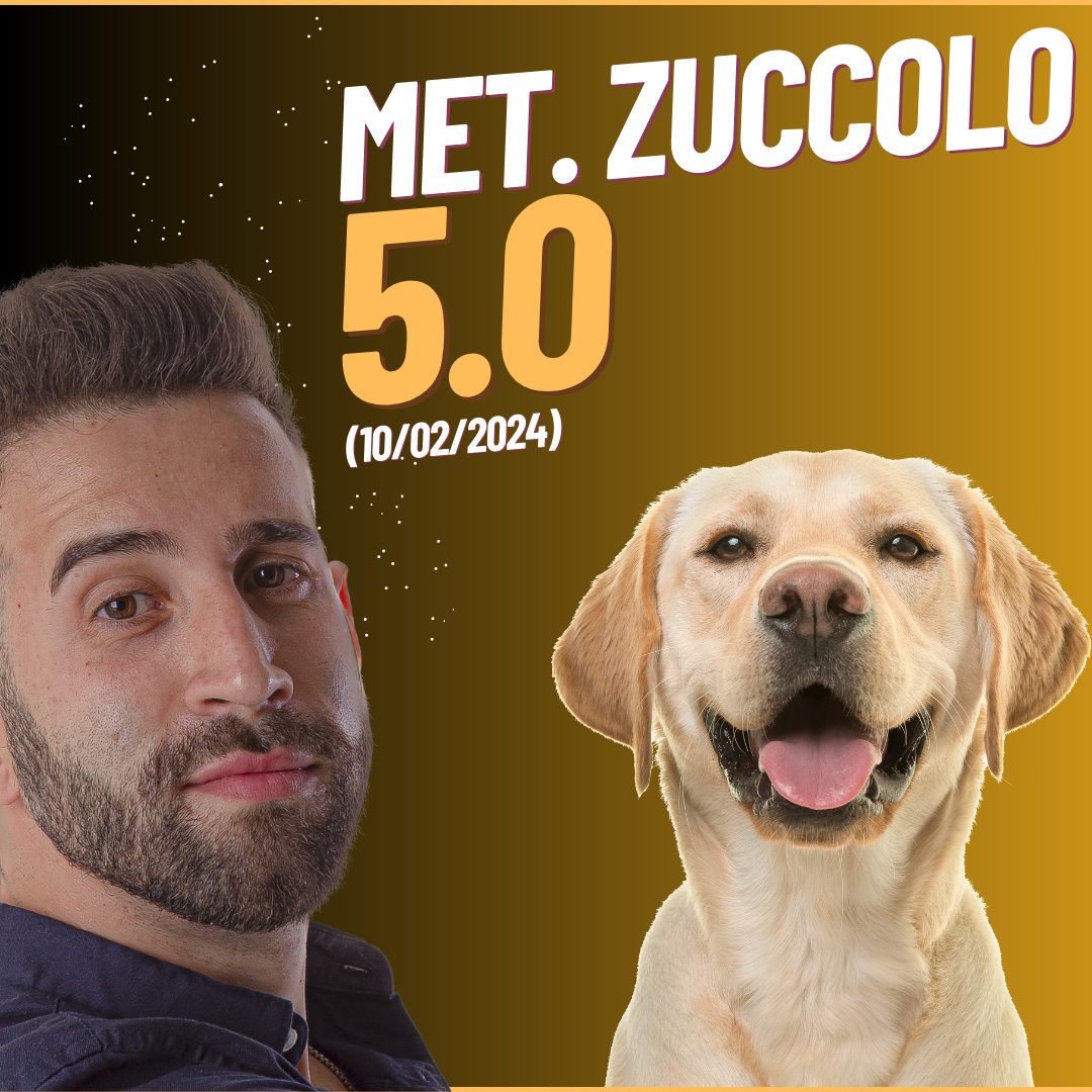 METODOLOGIA ZUCCOLO 5.0 (10/02/2024)