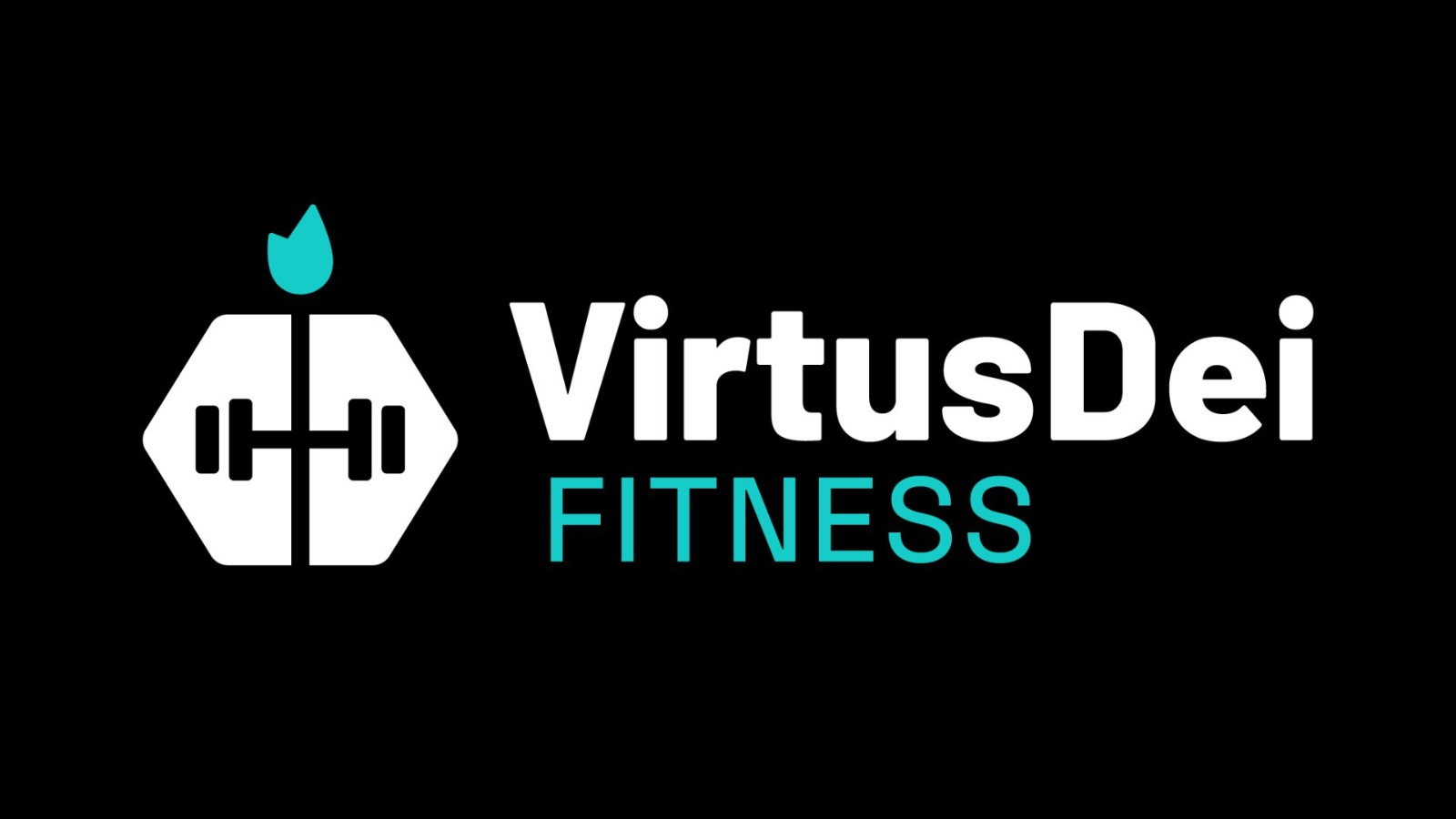 Virtus Dei Fitness