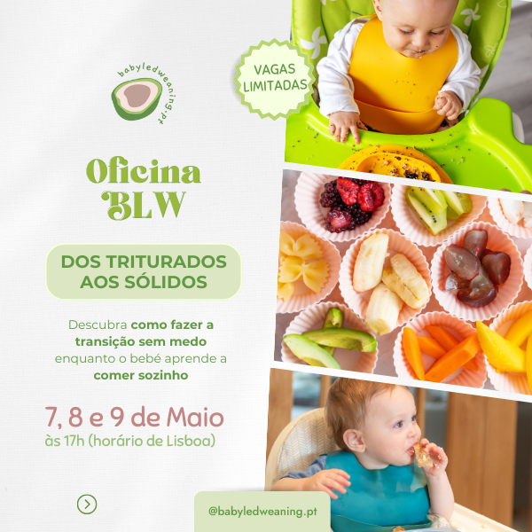 OFICINA BLW: DOS TRITURADOS AOS SÓLIDOS - Maria Jesus Martinez Fern...