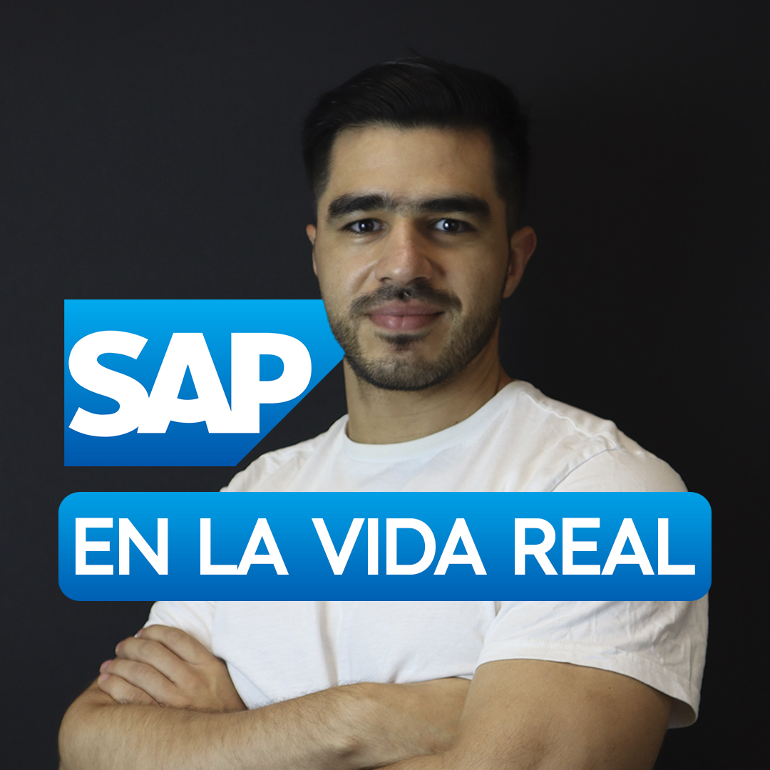 SAP Consultor desde cero: Programa de aceleración de carrera - Javi...