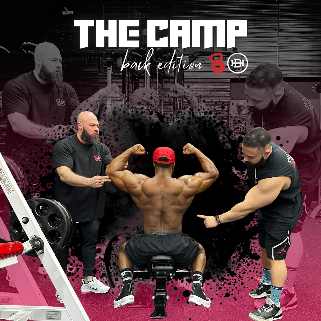 THE CAMP - BACK EDITION - REEDUCATEU - AULAS GRAVADAS - REEDUCATEU ...