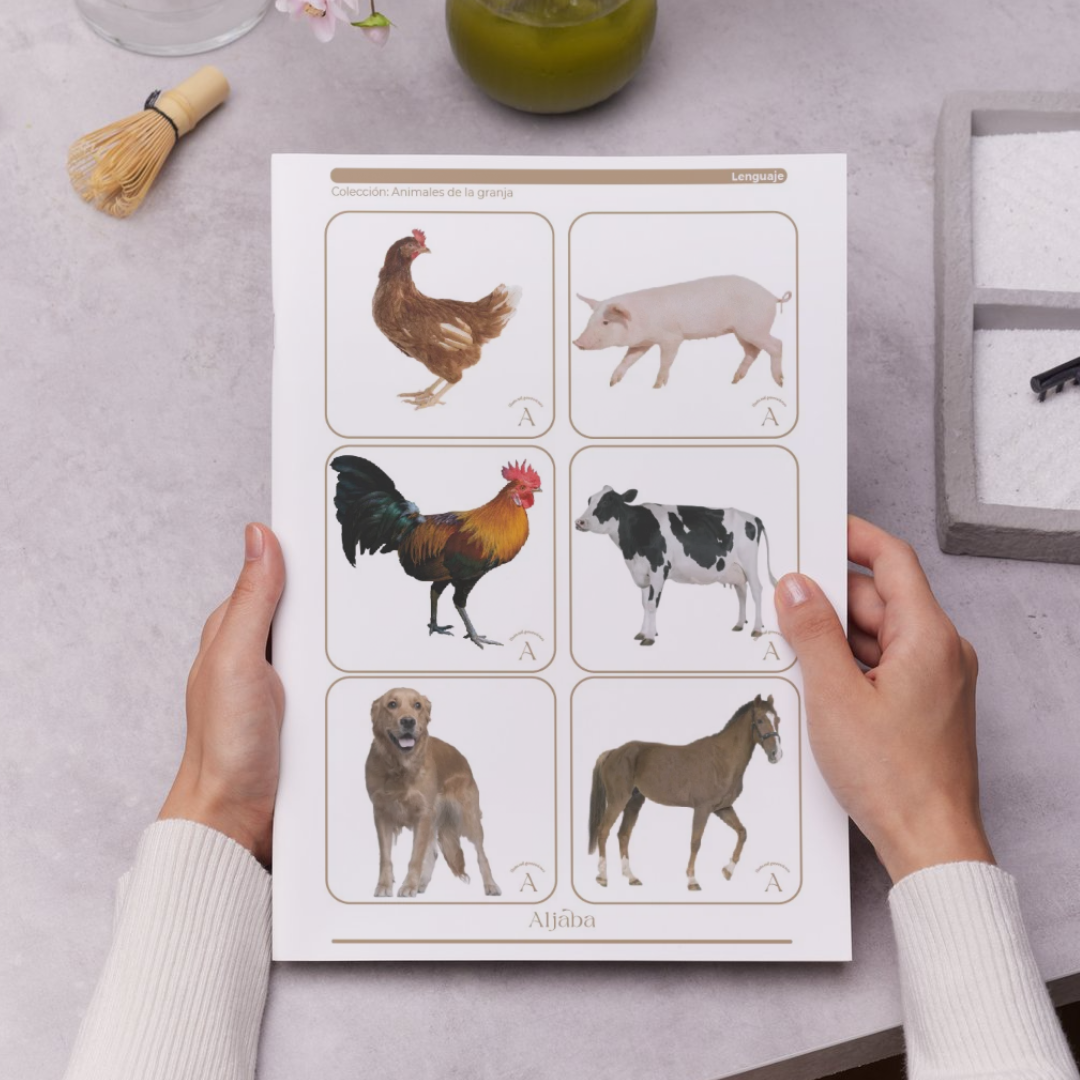 Tarjetas de nomenclatura, Animales de la granja - Estefany Beleño