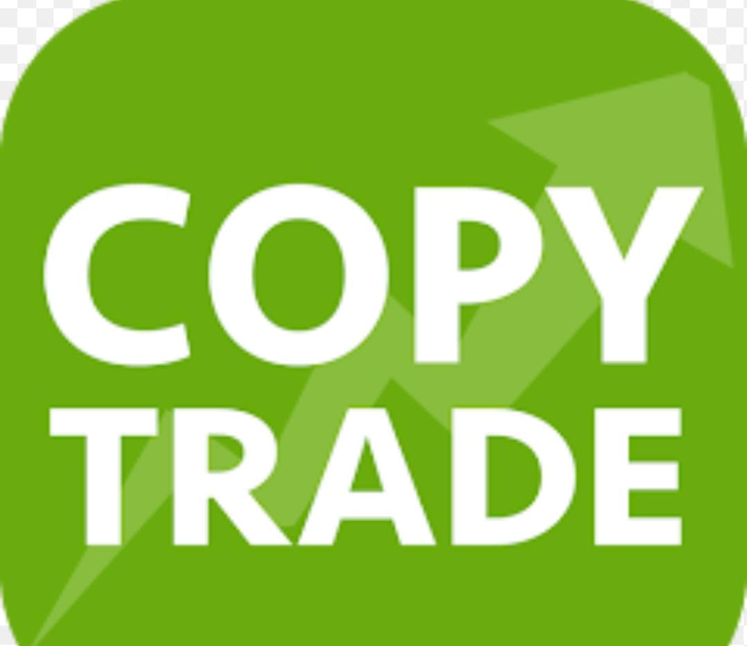 Copy Trader - Luana Moreíra dos santos | Hotmart