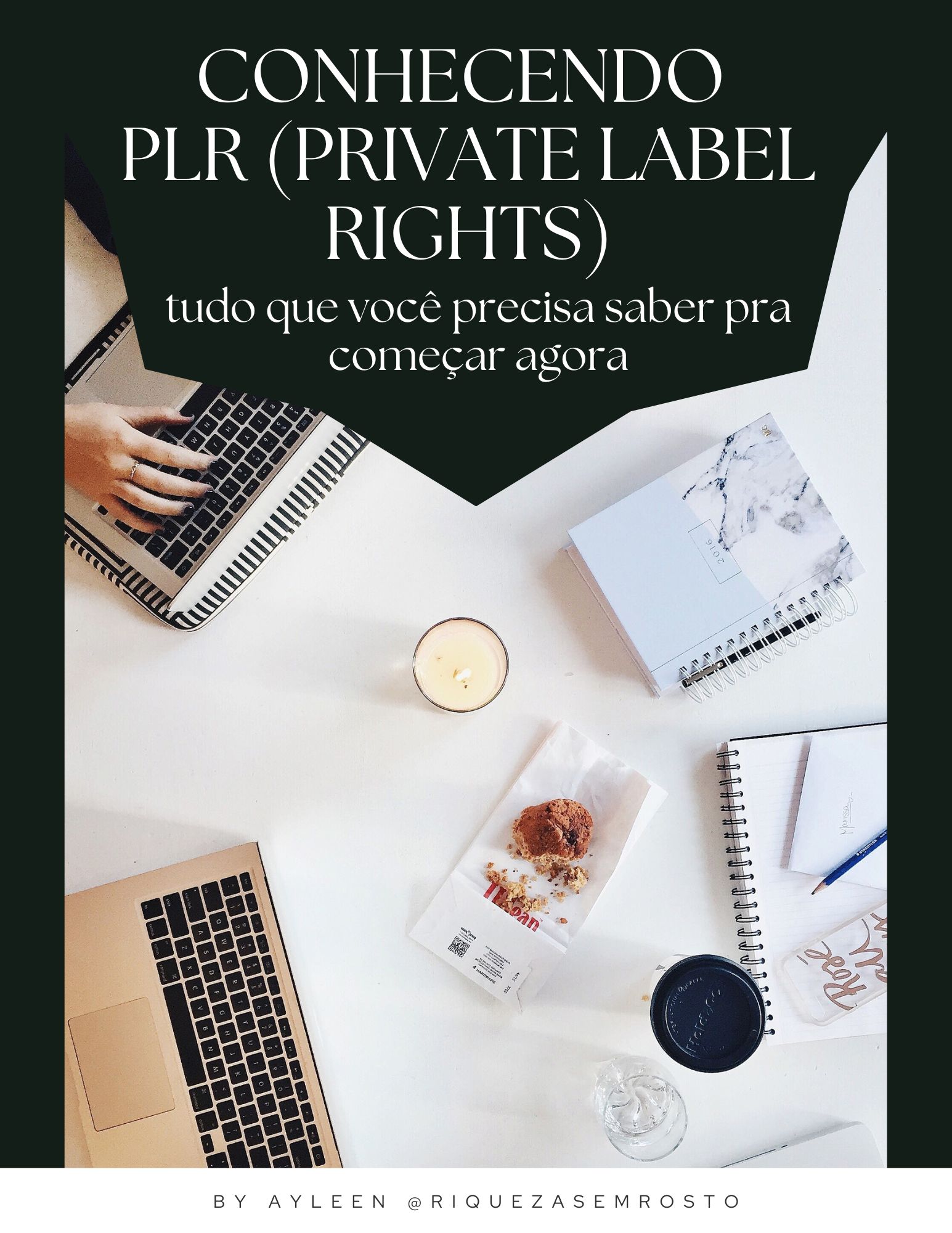 CONHECENDO PLR (PRIVATE LABEL RIGHTS)
