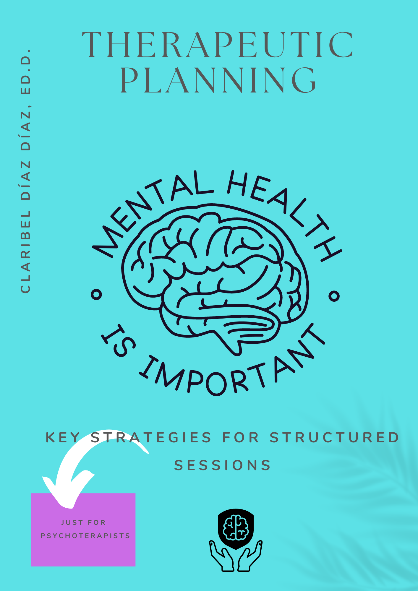 Therapeutic Planning: Key strategies for Structured Therapy