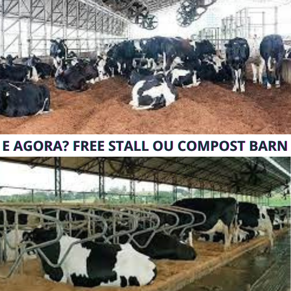 E AGORA? FREE STALl OU COMPOST BARN - Fabio Damasceno | Hotmart