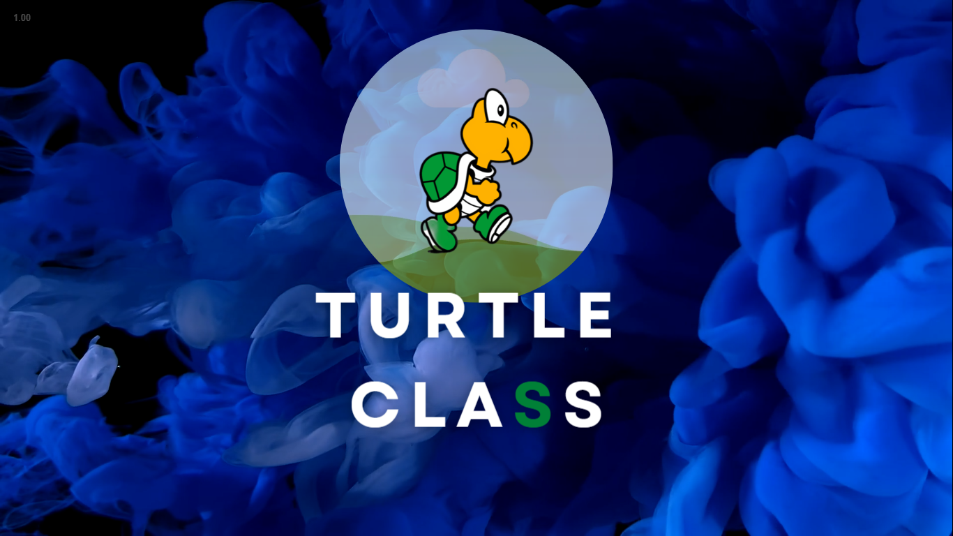 Turtle Class