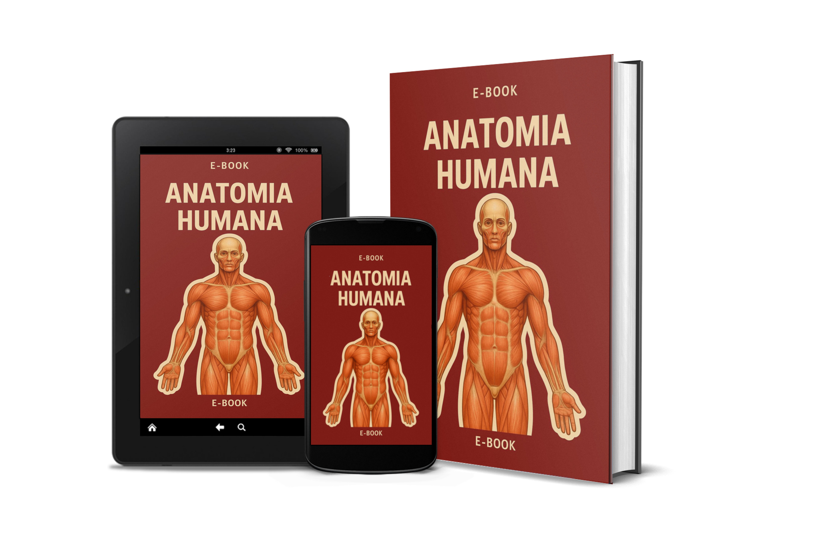 ebook anatomia humana - Gabriela | Hotmart