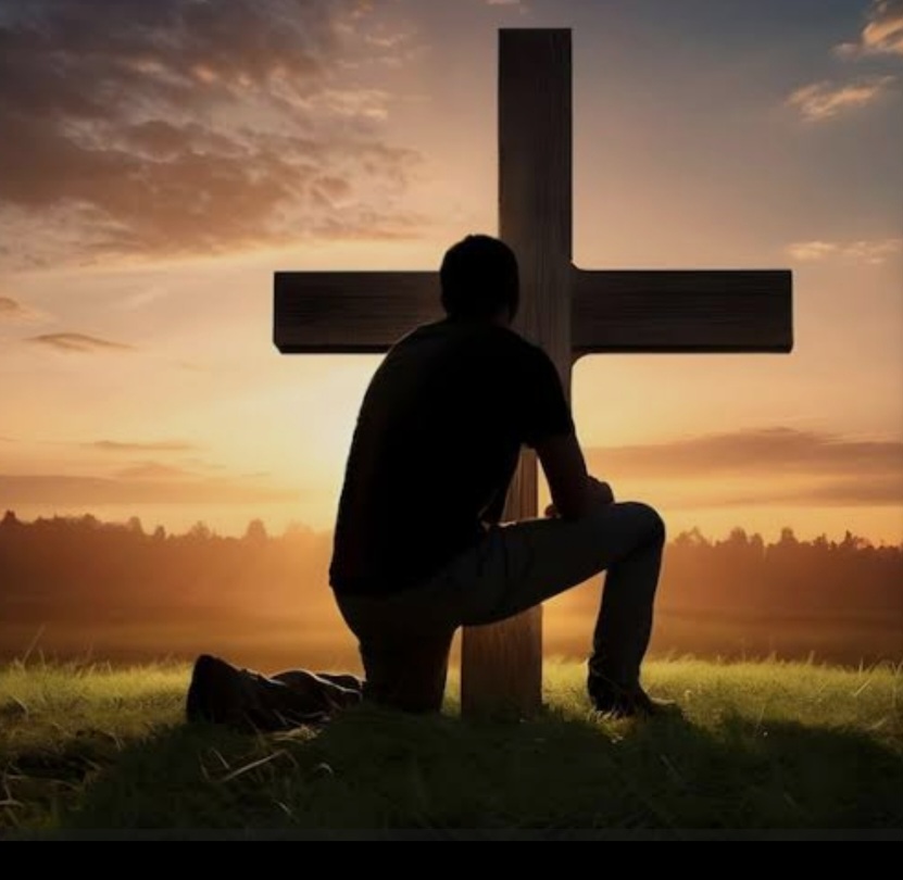 Sheila oliveira - Sheila ribeiro oliveira | Hotmart