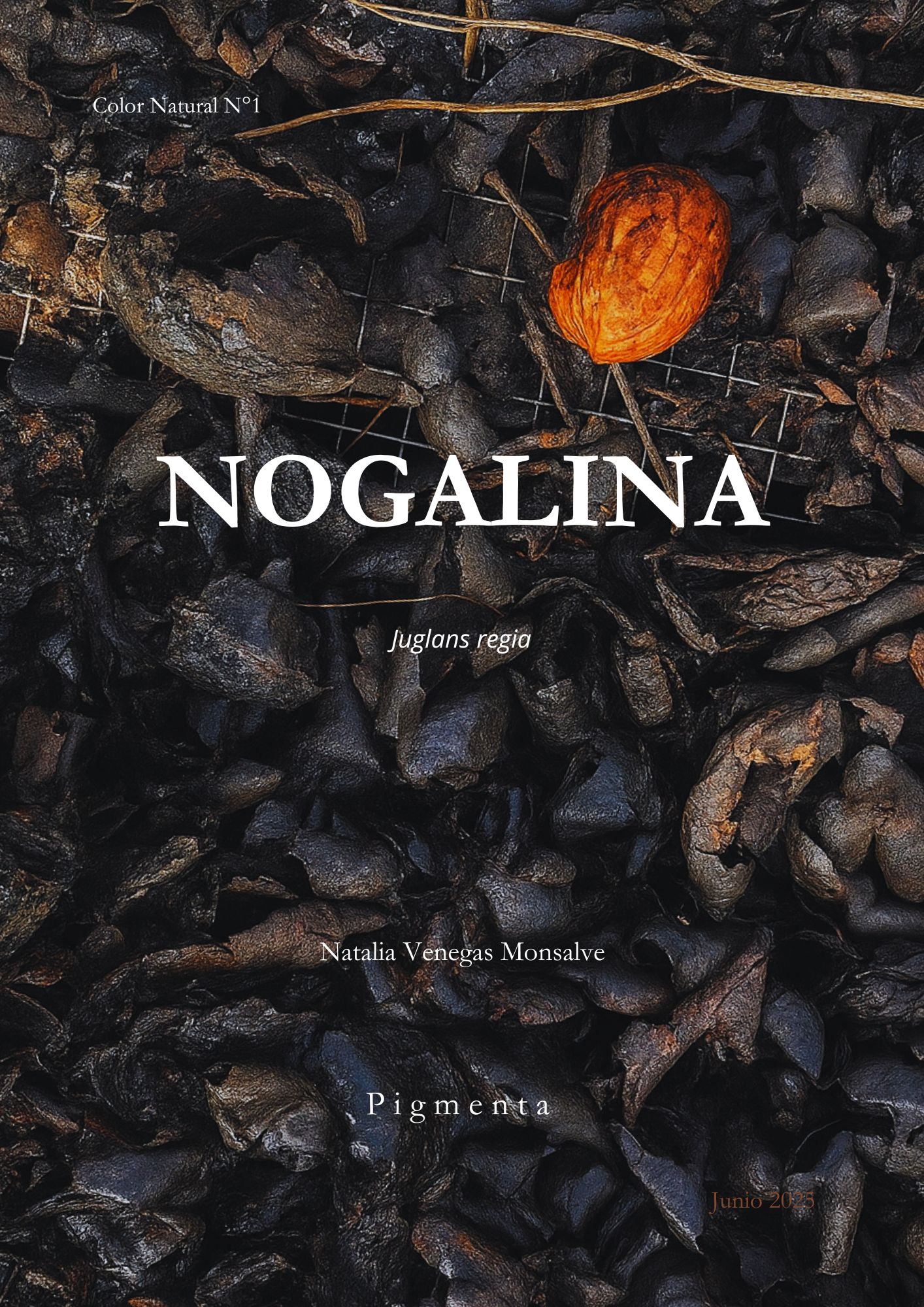 Cuaderno Pigmenta de Color Natural - N°1 - Nogalina - Natalia Ferna...