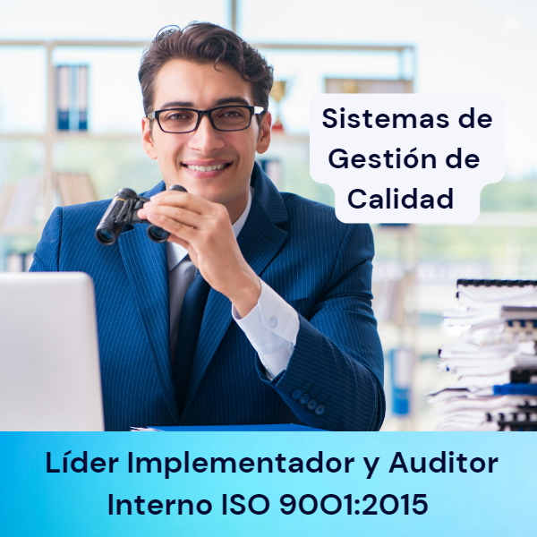 Líder Implementador y Auditor Interno ISO 9001 Sistema de Gestión d...