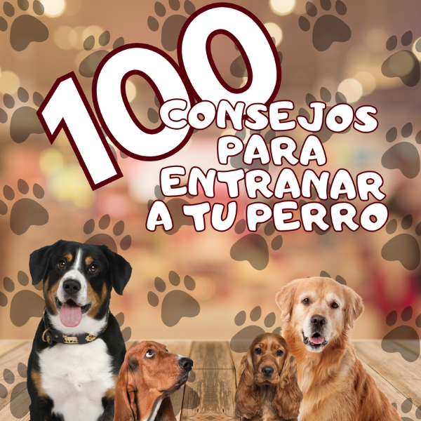 100 CONSEJOS PARA ENTRENAR A TU PERRO - ramiro joaquin bidera rossi...