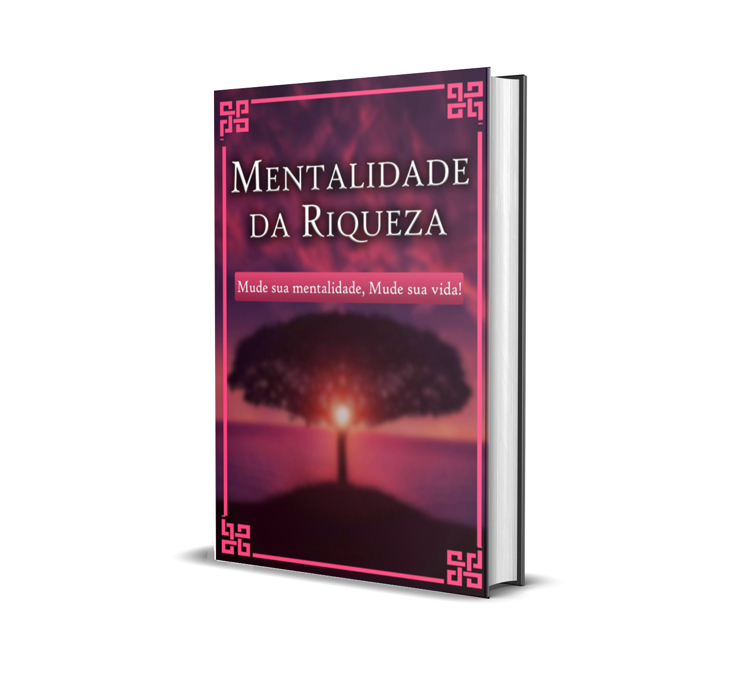 Mentalidade da Riqueza - Vinicius Dal Pont | Hotmart