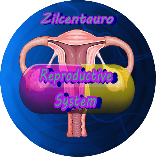 Reproductive System By Zilcentauro
