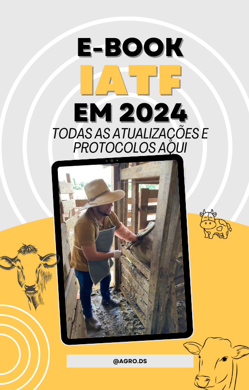 IATF 100% 2024