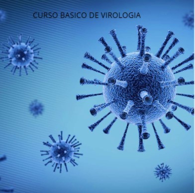 CURSO BASICO DE VIROLOGIA - CLAUDIA ROCIO CHIA ARGOTE | Hotmart
