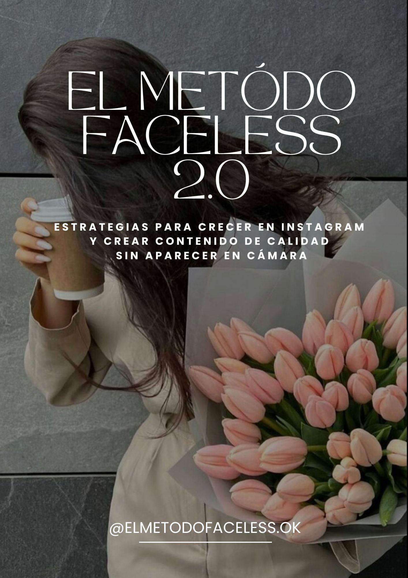 EBOOK EL METODO FACELESS 2.0