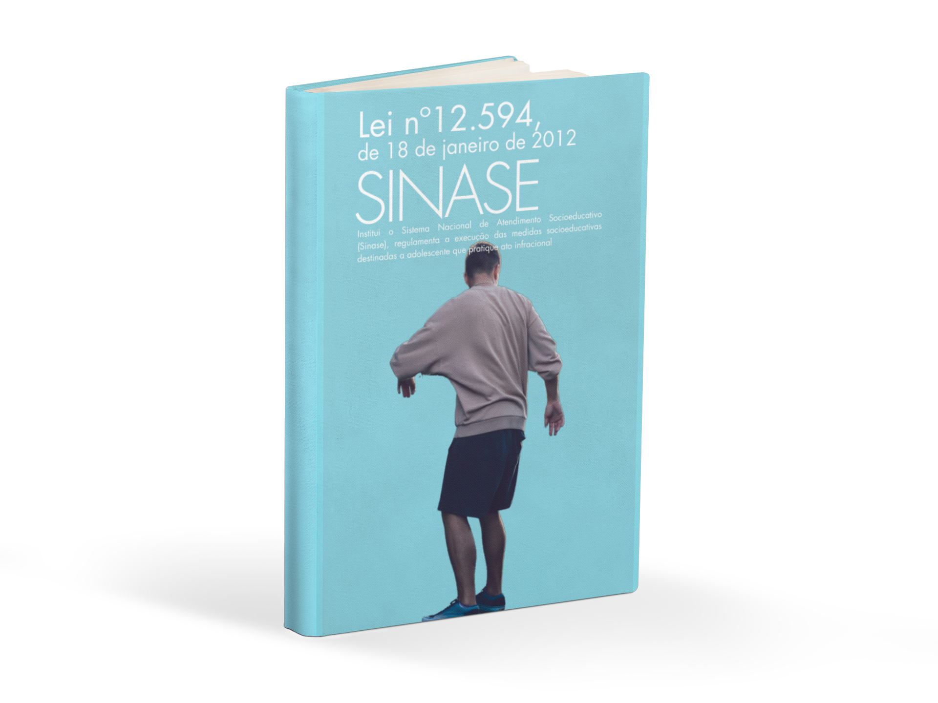 SINASE - RESUMO ILUSTRADO - Plural: conhecimento em ação! | Hotmart