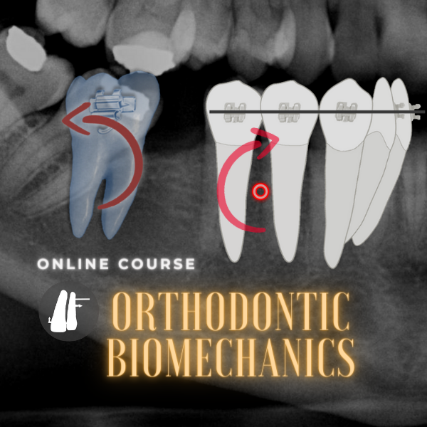 Orthodontic Biomechanics - Gustavo Gameiro | Hotmart