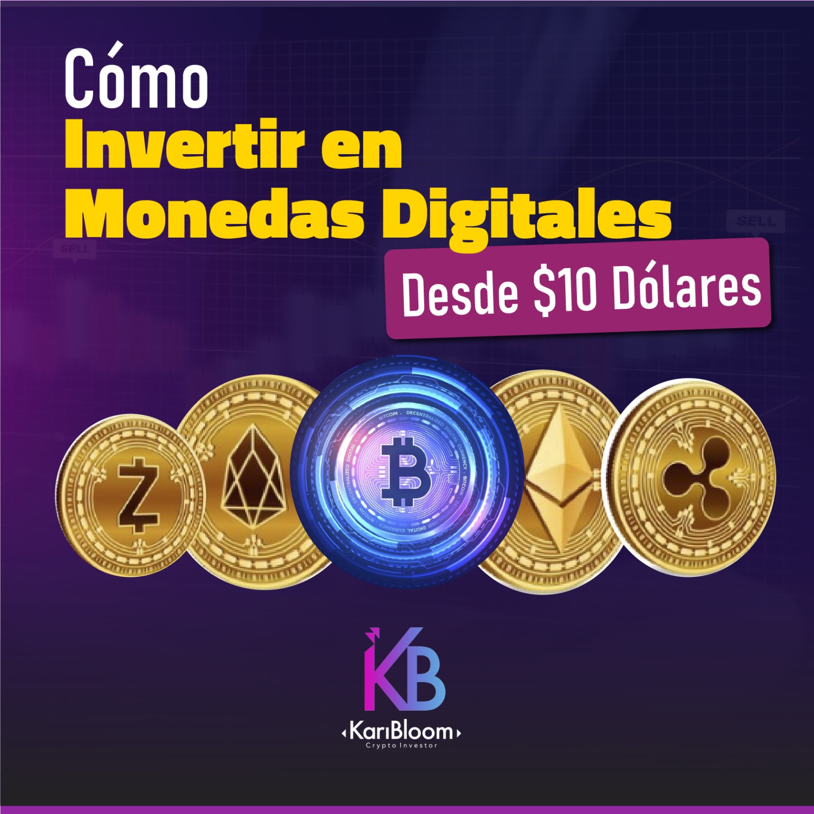 Tu Inicio Seguro en el Mundo de las Inversiones Digitales