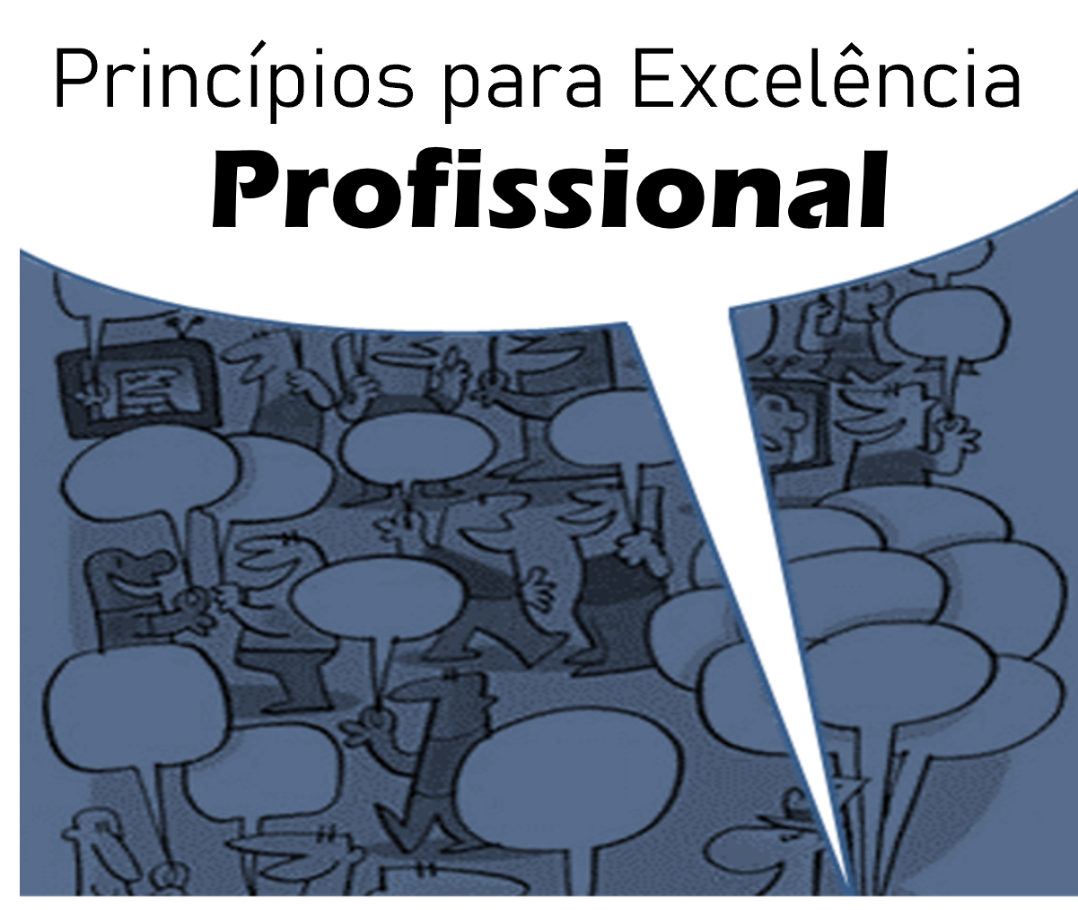 Princípios para Excelência Profissional