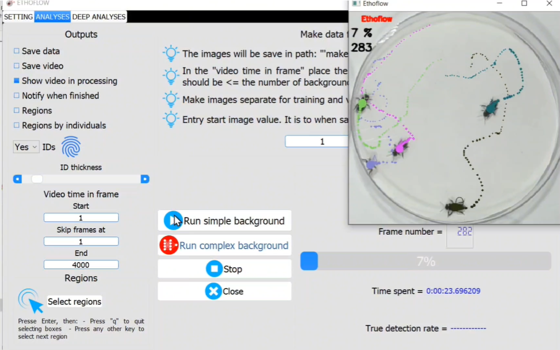 Animal behavior analysis with Ethoflow software