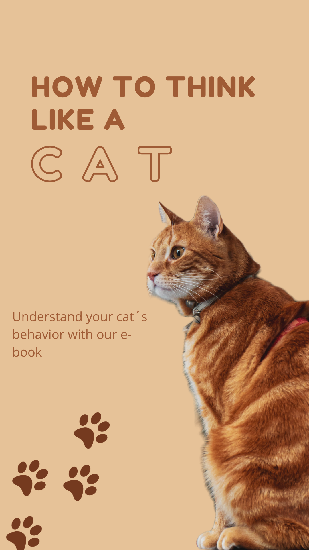 How to think like a cat