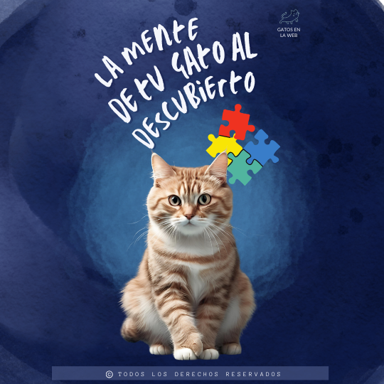 La Mente de tu Gato al Descubierto