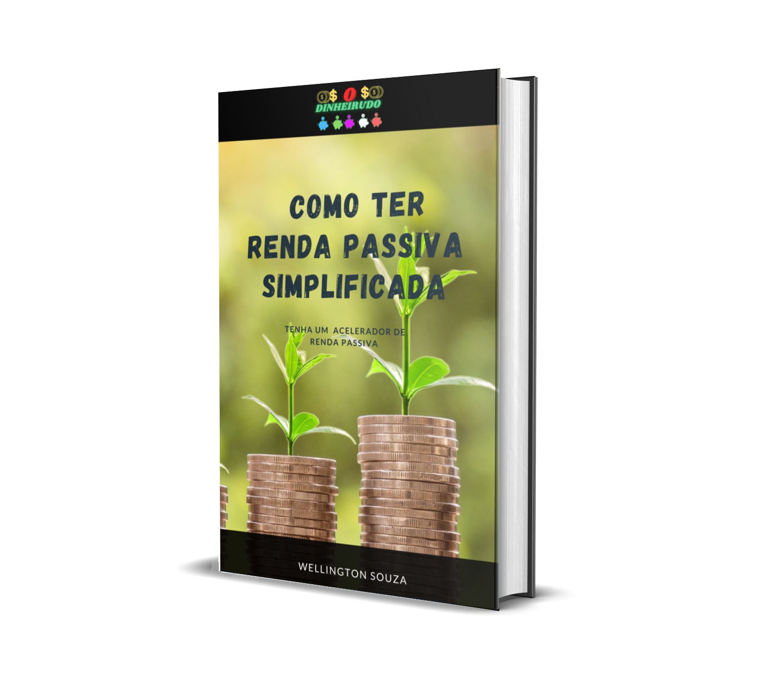 Como Ter Renda Passiva Simplificada