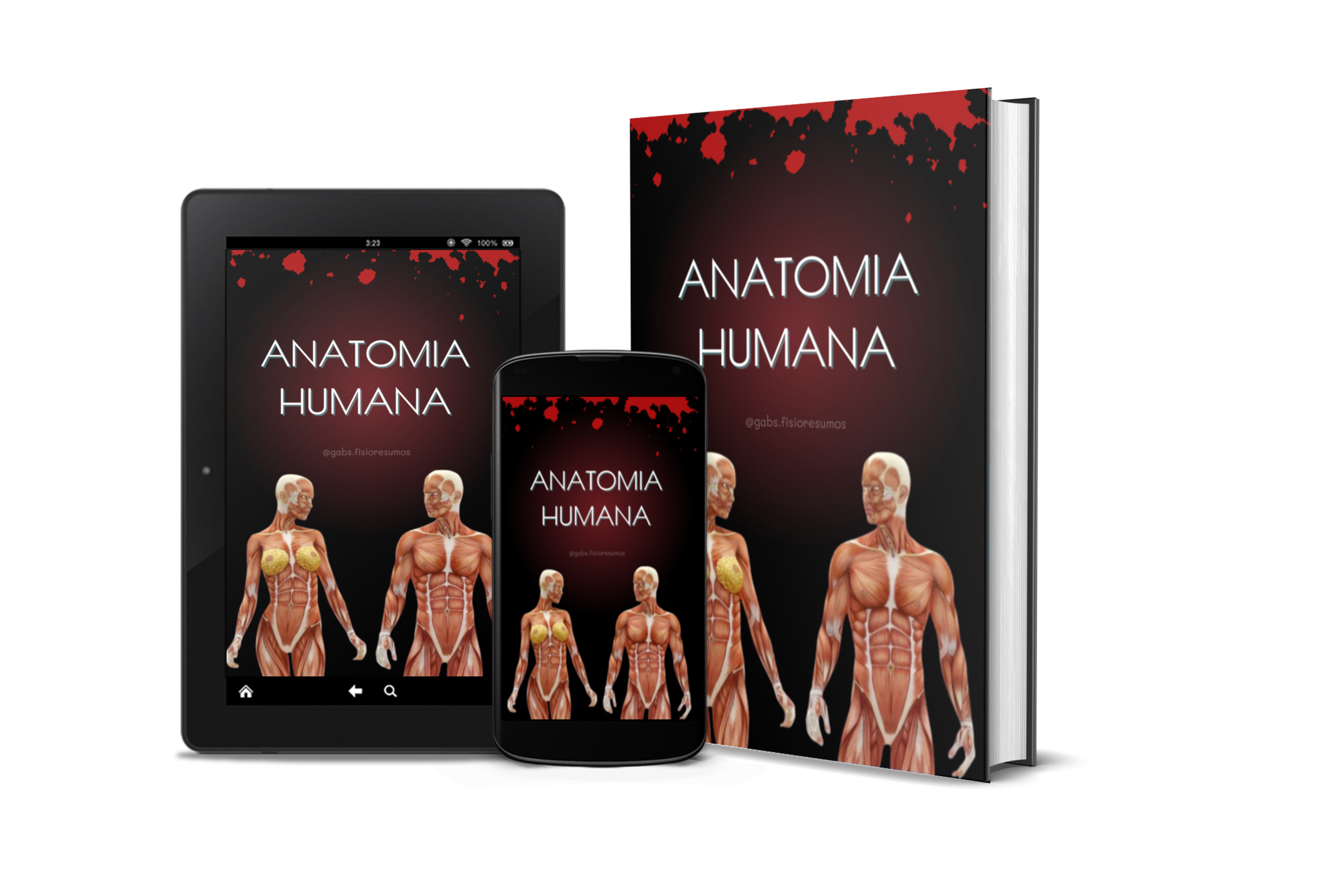 E-book Anatomia Humana - Gabriela Lino | Hotmart