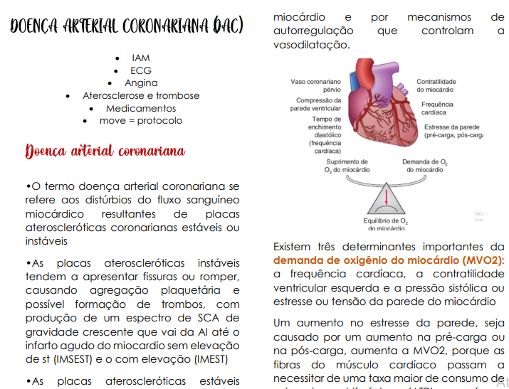 DOENÇA ARTERIAL CORONARIANA - Luana Carolina | Hotmart