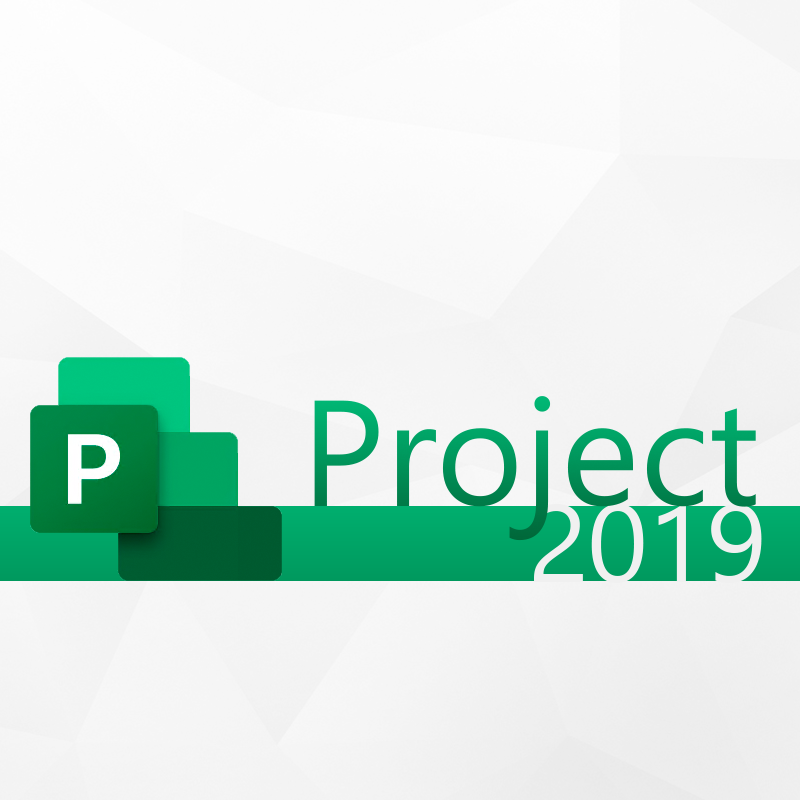 Microsoft Project 2019 - do Básico ao Avançado - Rubens do Carmo