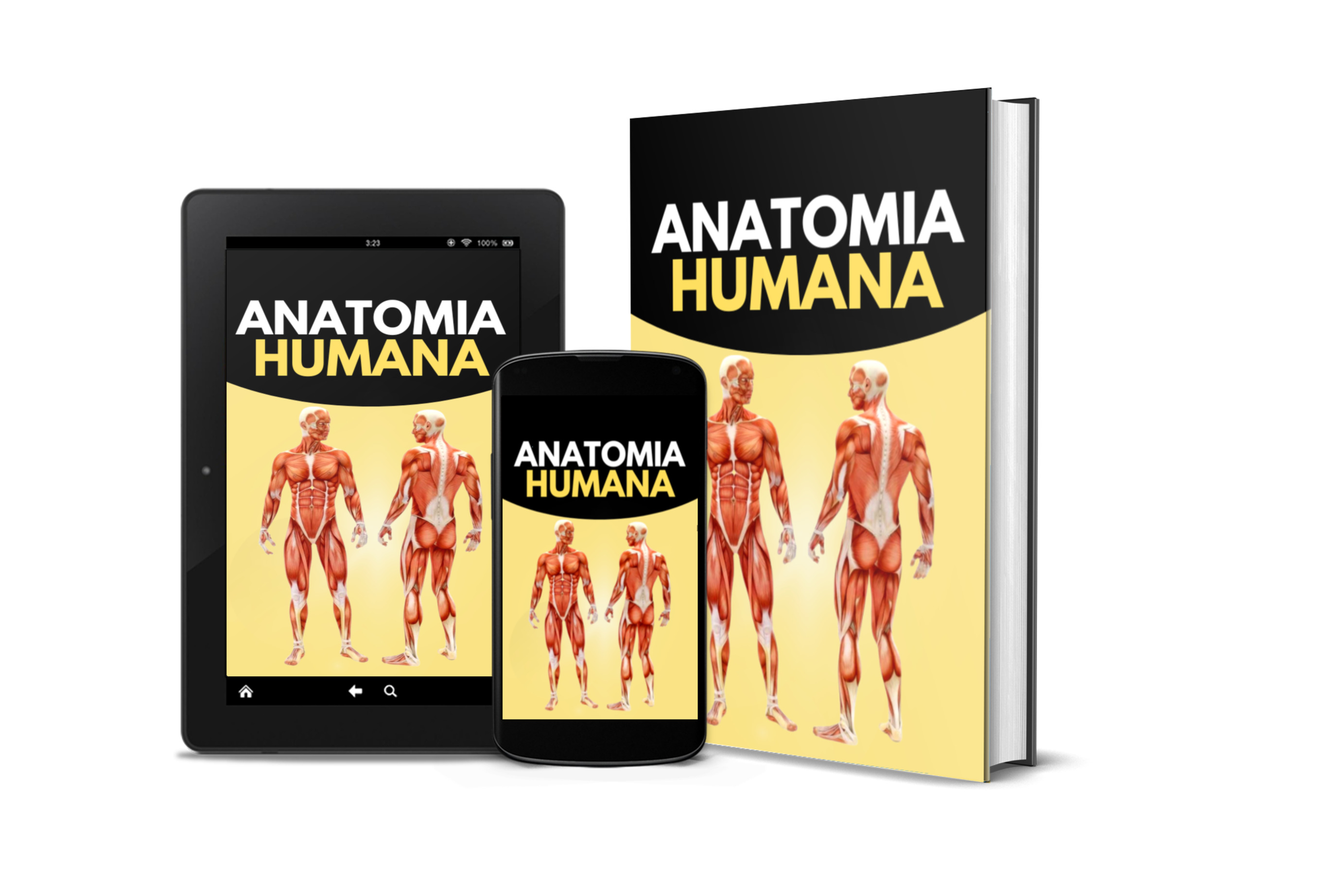 Ebook Anatomia Humana - Gabriela | Hotmart