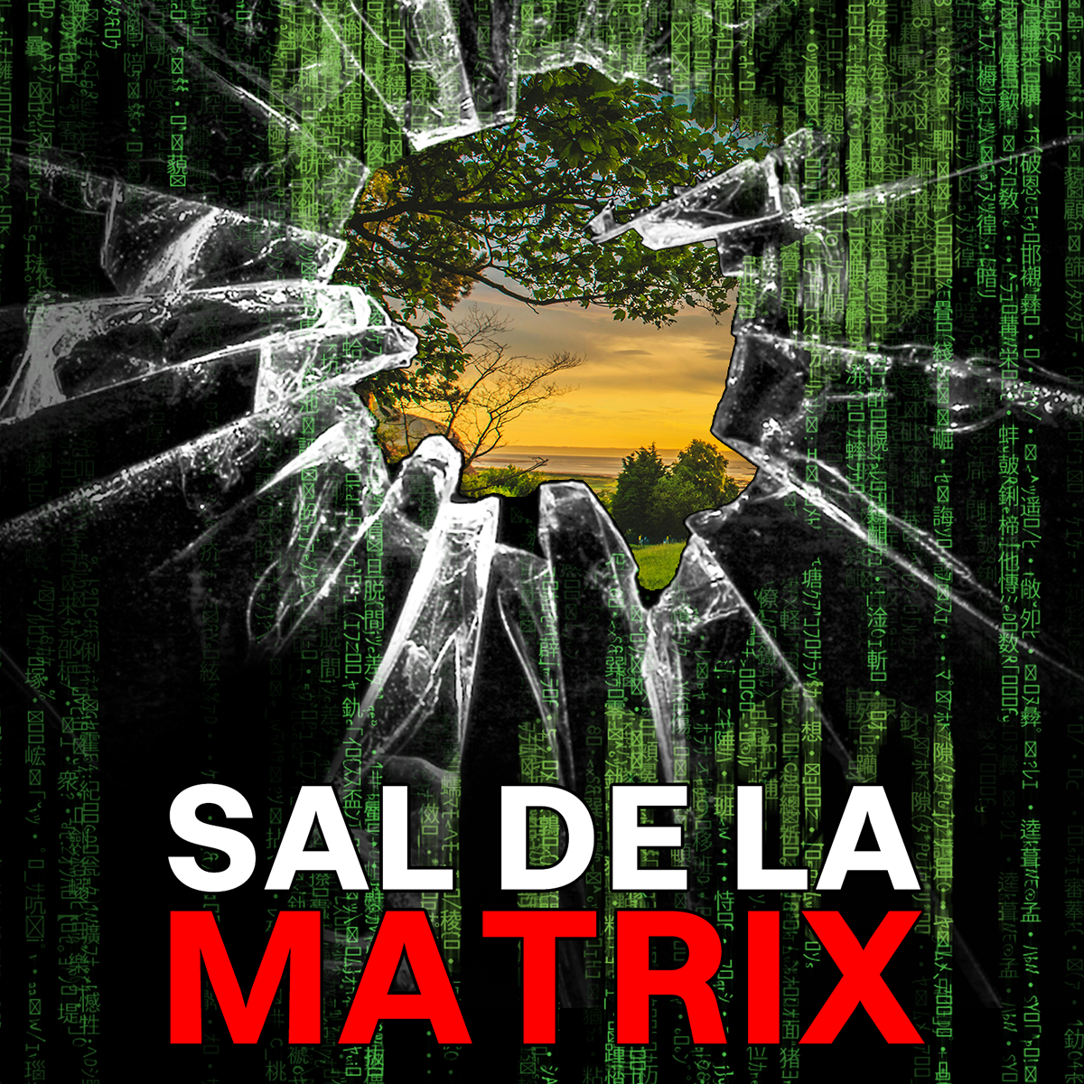 Sal de la Matrix - Peter | Hotmart