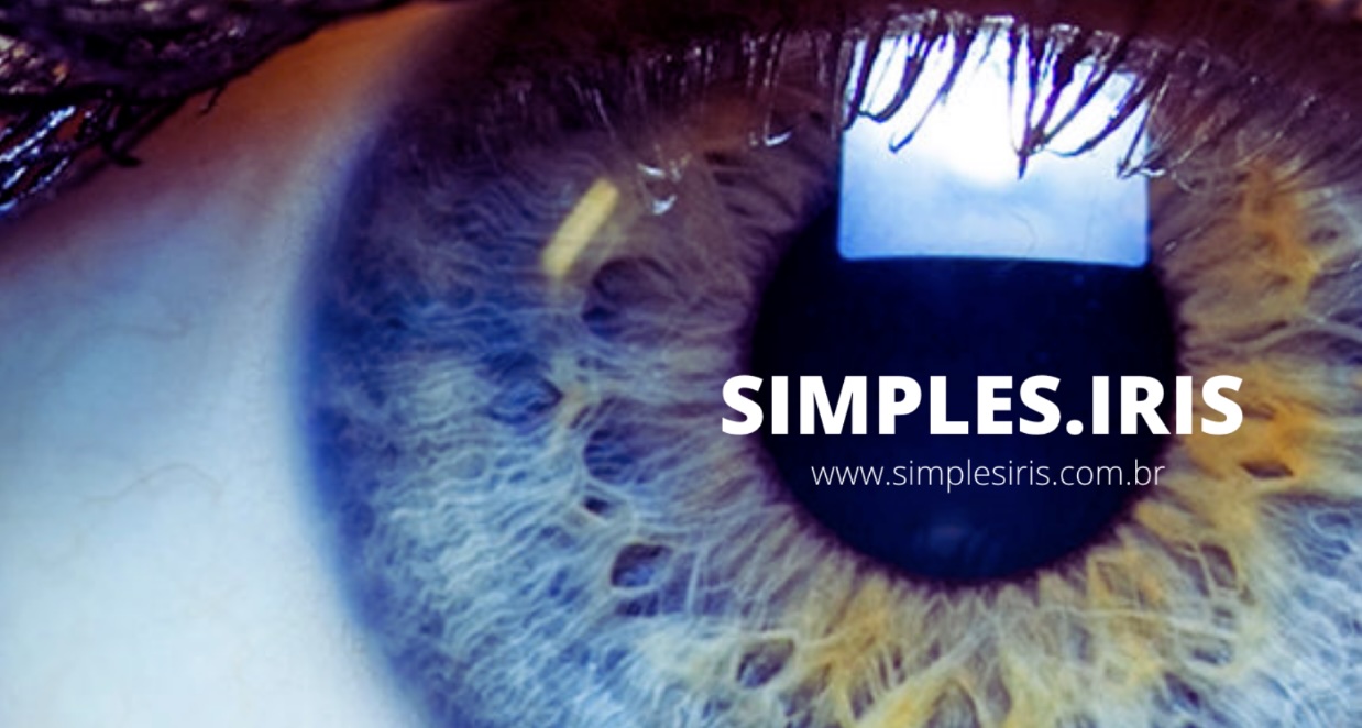 Simples Íris – Sistema Completo de Análise de Íris - Instituto Reno...