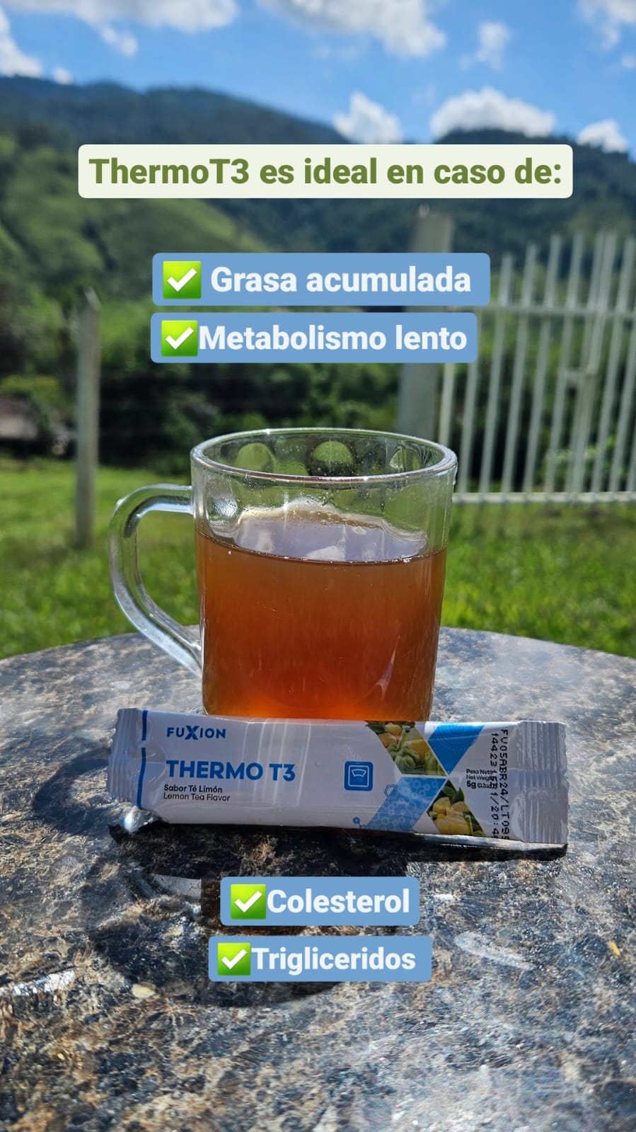 THERMO T3 - Betty Revelo Ruales | Hotmart