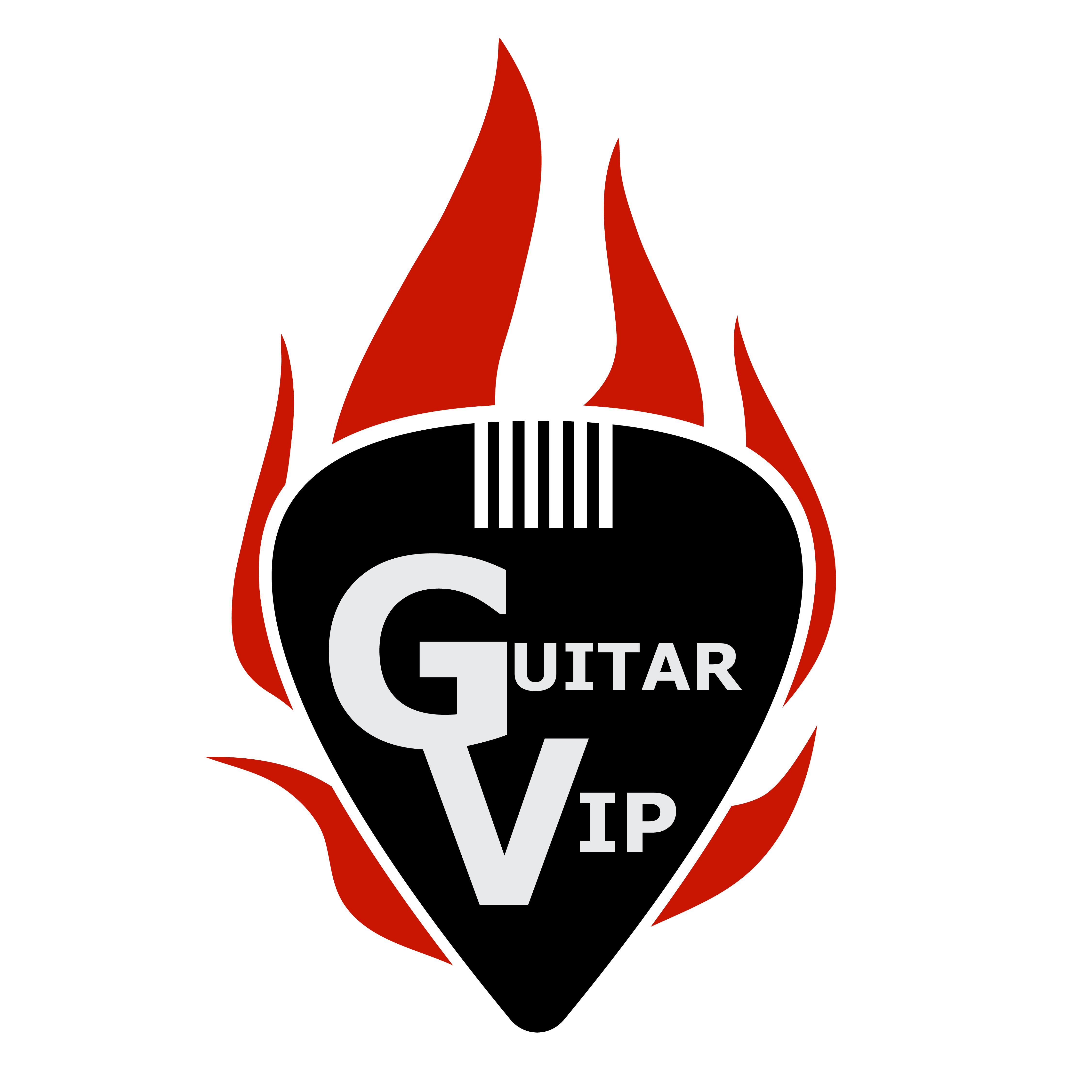 Guitar Vip