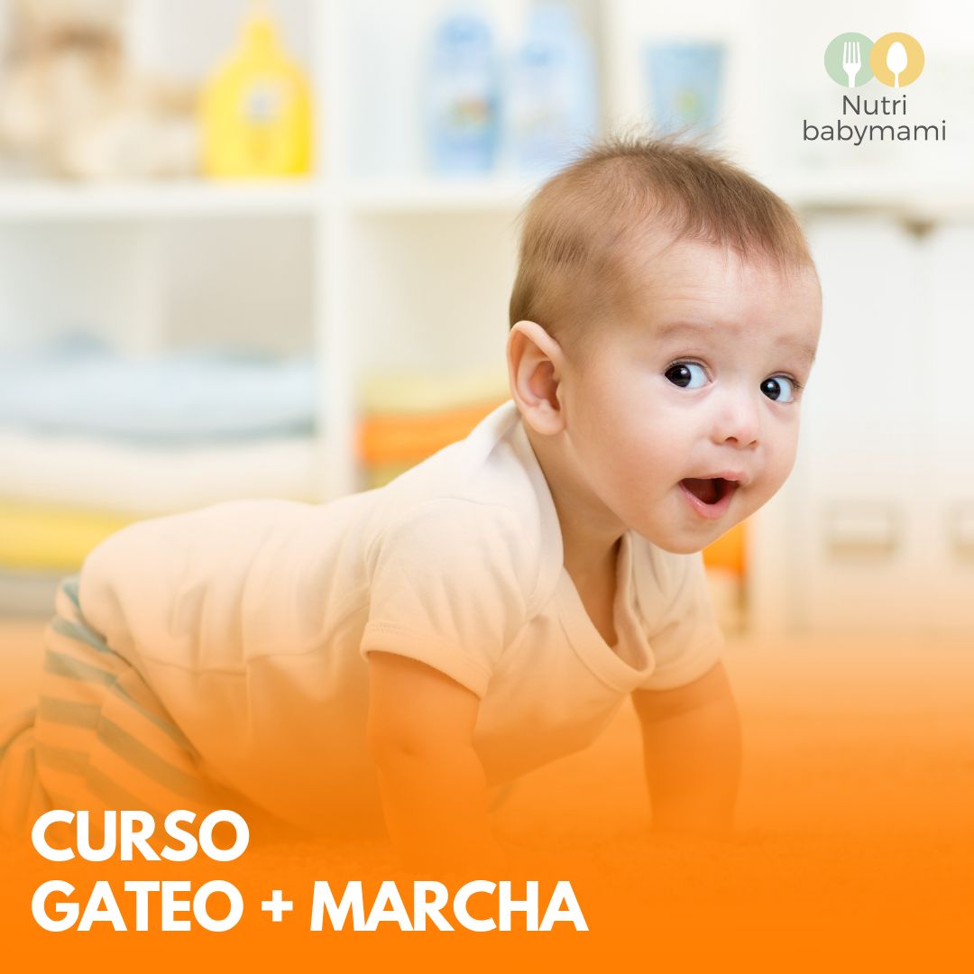 Curso Primeros Pasos (Gateo + Marcha) - Nutri baby mami | Hotmart