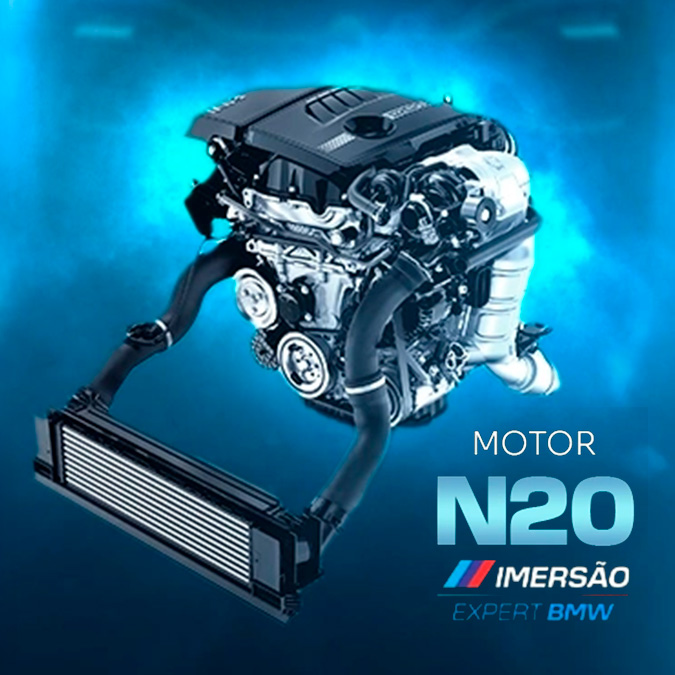Motor N20 - Maicon Klein | Hotmart