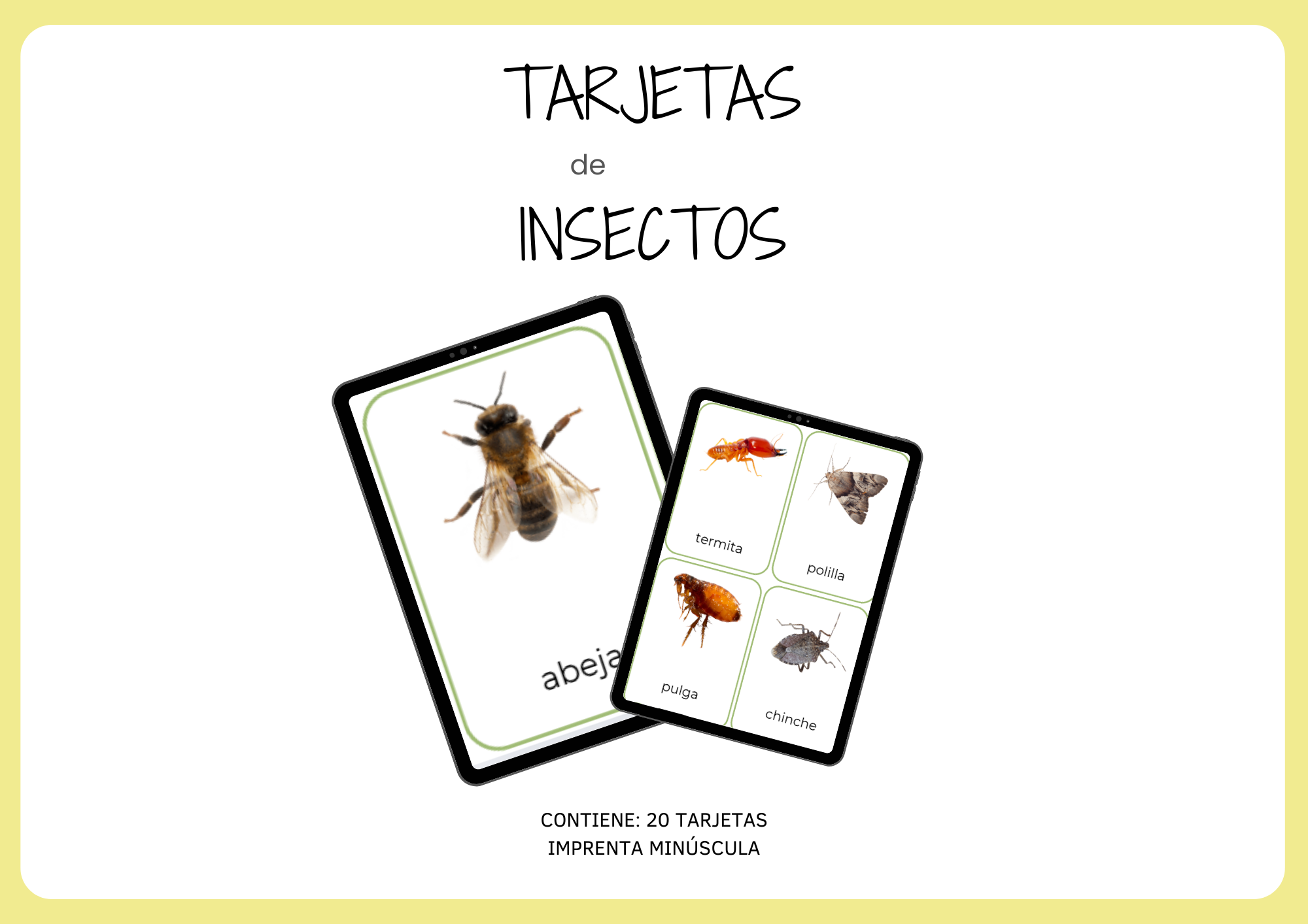 Tarjetas insectos - minúscula - Libremente | Hotmart