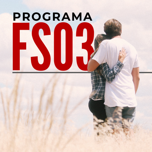 FS03