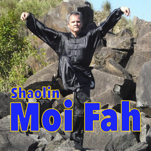 Kung Fu e Defesa Pessoal | Shaolin Moi Fah - "Flor de Ameixeira"|-第...