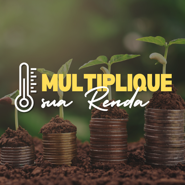 Multiplique sua renda