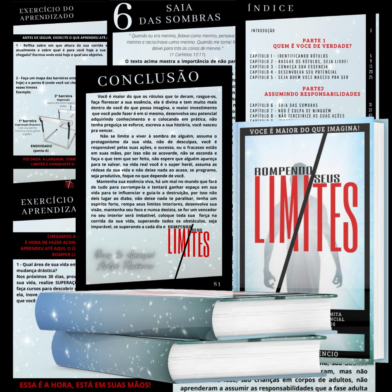 ROMPENDO SEUS LIMITES e-book